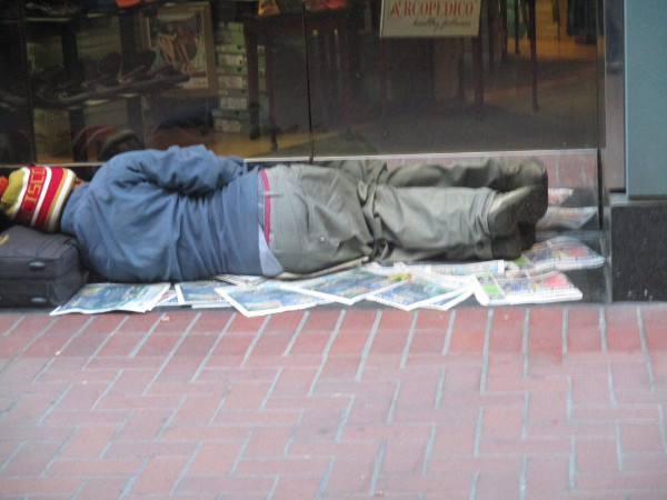 a nest | People's Tribune